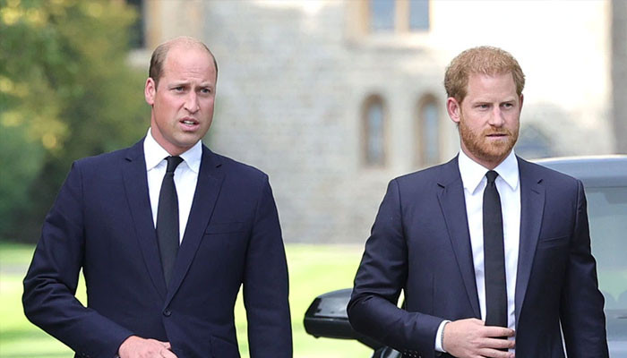 Prince William 'angry' as Prince Harry defies childhood 'wingman' promise