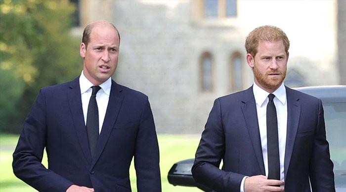 Prince William 'angry' as Prince Harry defies childhood 'wingman' promise