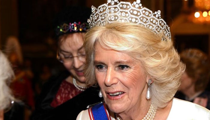 Camilla only need 'half-raised eyebrow' to get work done for King Charles