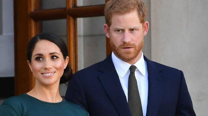 Prince Harry, Meghan Markle’s ‘fear factor is off the scale’