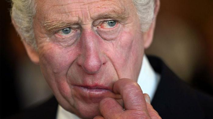 King Charles wanting to ‘hand’ Archie, Lilibet titles to ‘reconcile ...