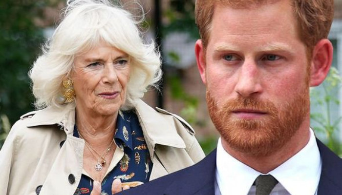 Prince Harry ‘forcing’ King Charles to choose between him and Queen ...