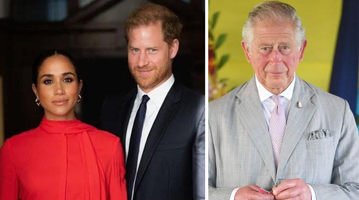 Prince Harry, Meghan Markle walking ‘very thin line’ with King Charles