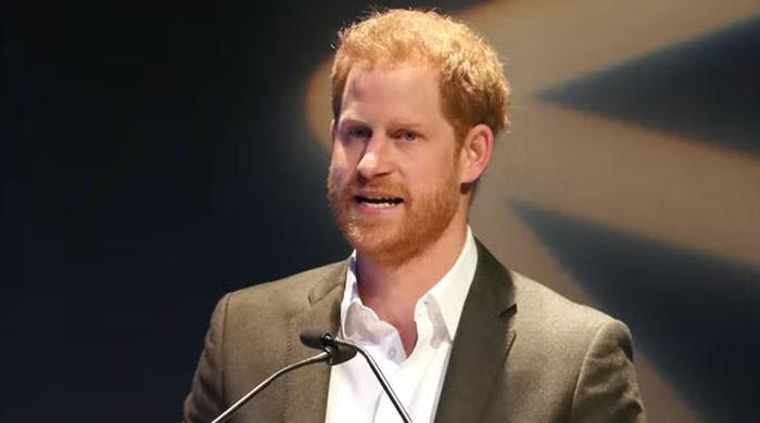 Prince Harry 'anger issues' with media instigated by Princess Diana