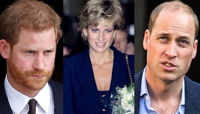 ★SMARTCLUB★ News : Prince Harry and Prince William enveloped in ‘anger ...