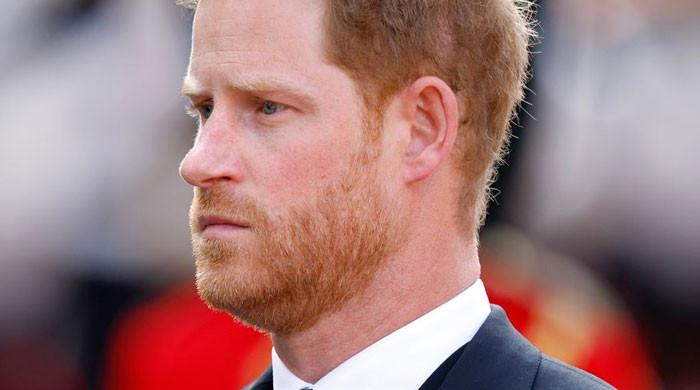Prince Harry’s ‘life of privilege’ broken down: ‘It’s so unfair!’