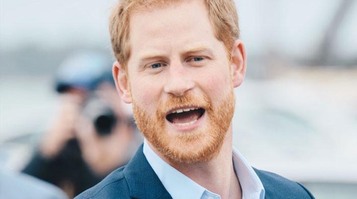 Prince Harry, Meghan Markle exposed in another lie?