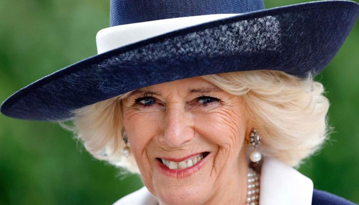 'Laughing' Queen Camilla climbed through a ladder in 'extraordinary' move