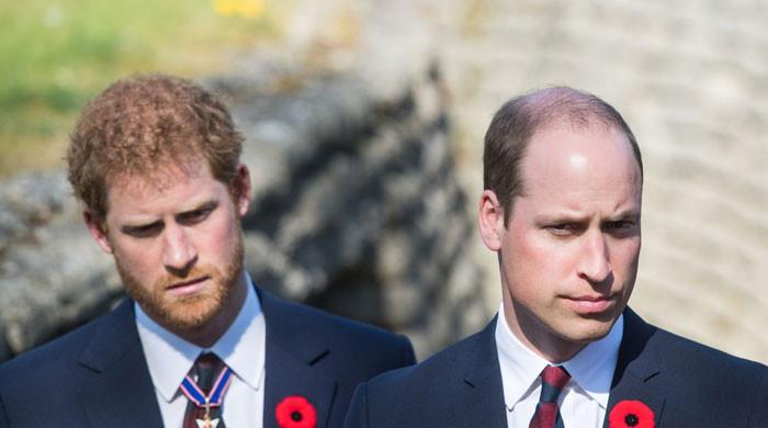 Princess Diana heartbroken as Harry becomes 'hitman' in Prince William life