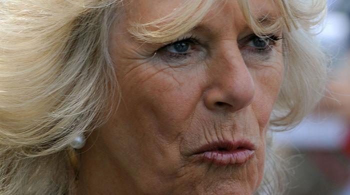 'Tampongate': Camilla watching 'The Crown' as King Charles leaked call ... 'Tampongate': Camilla watching 'The Crown' as King Charles leaked call ...