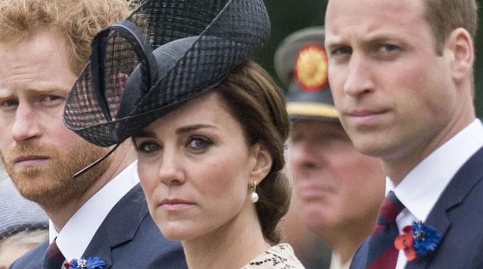 British media’s royal coverage slammed, former broadcaster says ‘things ...