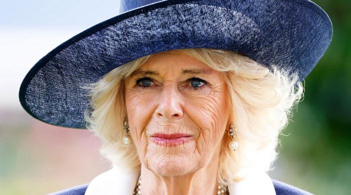 Camilla’s redemption is The Firm’s ‘greatest PR project to date’