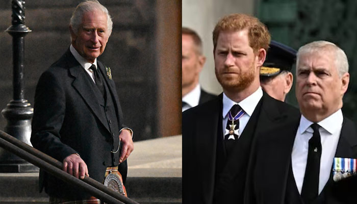 King Charles snubs Prince Harry, Prince Andrew amid royal shake up