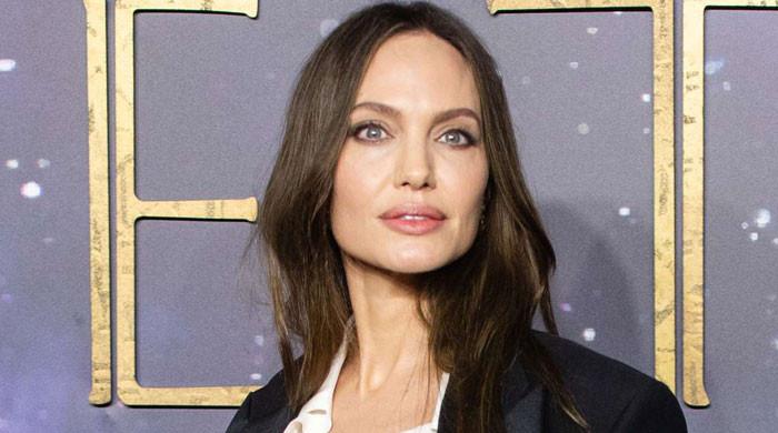 Angelina Jolie Hired Guy To Kill Herself Wanted To Avoid Suicide Guilt