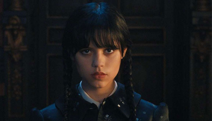 Netflix: 'Wednesday' five best characters in the Netflix series