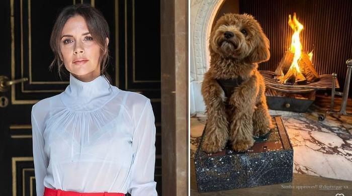Victoria Beckham reveals son Romeo's dog ruined her luxury advent calendar