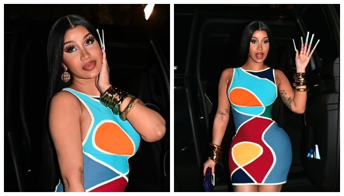 Cardi B accentuates her hourglass figure in chic print dress