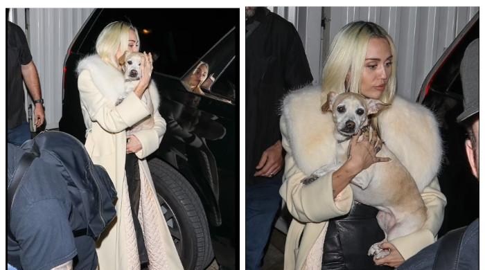 Miley Cyrus shows off knockout legs in pencil skirt as she steps outside