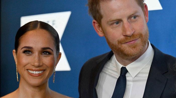 Prince Harry, Meghan Markle using Netflix for clout? ‘Second game afoot’