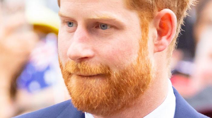 Prince Harry once had life ‘most can only dream of’: ‘So sad’