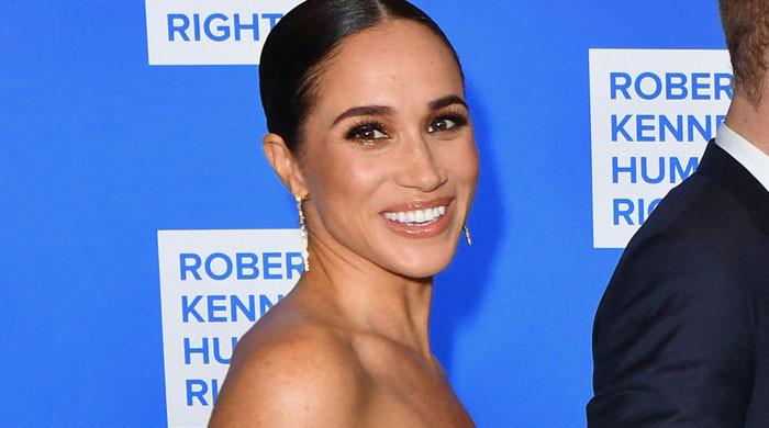 Meghan Markle ‘mixed-race heritage’ needs to be acknowledged: ‘It’s ...