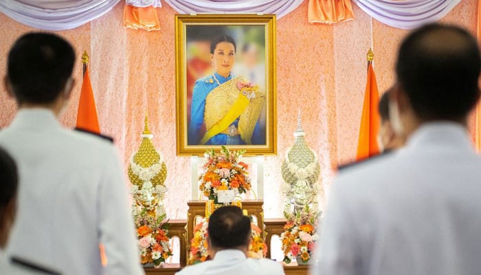Princess Bajrakitiyabha Mahidol receiving heart, lungs, kidney ‘support’