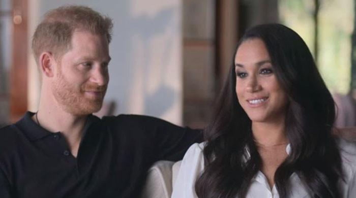 Prince Harry, Meghan Markle’s Netflix doc branded ‘fluff’ by Palace insider