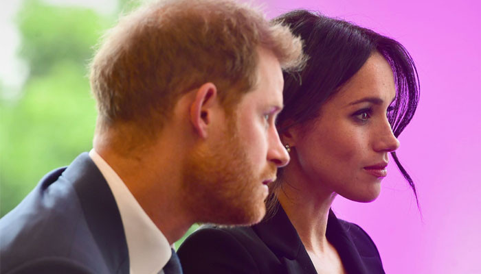 Prince Harry, Meghan Markle 'pompous, mean, self-aggrandizing'