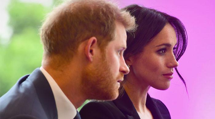 Prince Harry, Meghan Markle 'pompous, mean, self-aggrandizing'