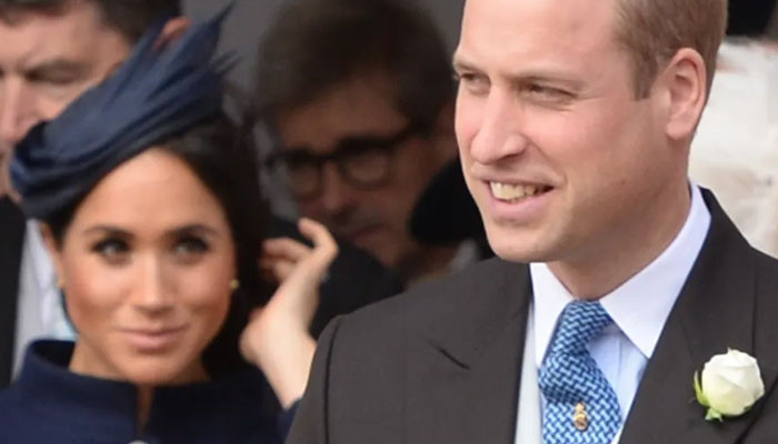 Prince Harry, Meghan Markle launching full frontal ‘civil war’