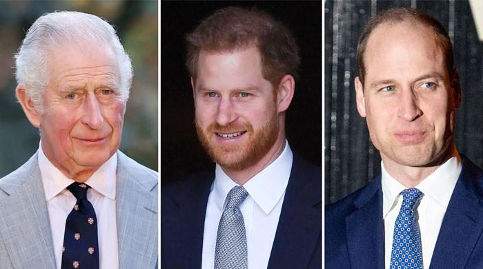 Prince Harry given ultimatum as he extends olive branch to King Charles, William
