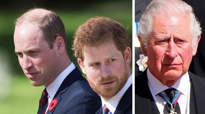 King Charles ‘ended up between warring sons’ Prince Harry, William