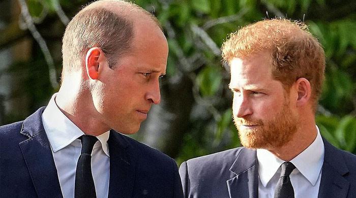 Prince Harry hitting ‘highest scalp he can reach’: report