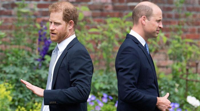 Prince Harry leaves brother Prince William ‘furious’