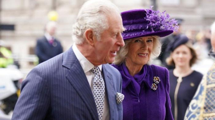 Camilla threatened King Charles, demanded divorce: report