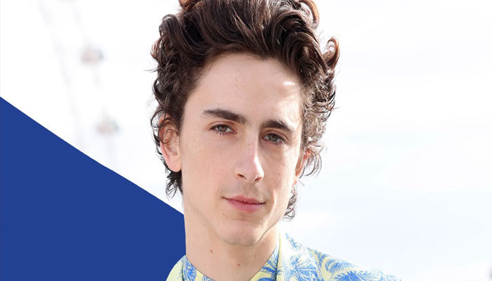 Timothée Chalamet's agent reveals he 'hasn’t auditioned for anything'