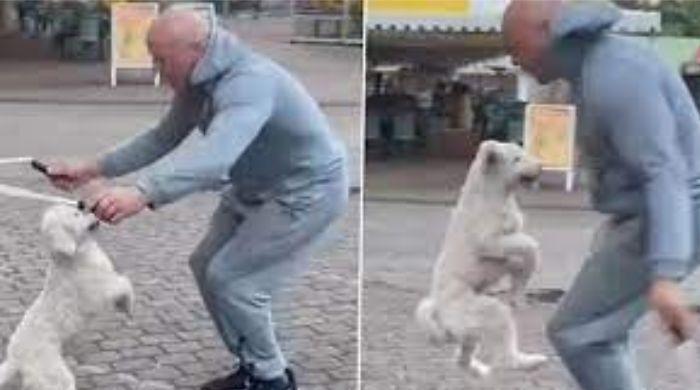 WATCH: Dog shocks internet with 32 skips in 30 seconds