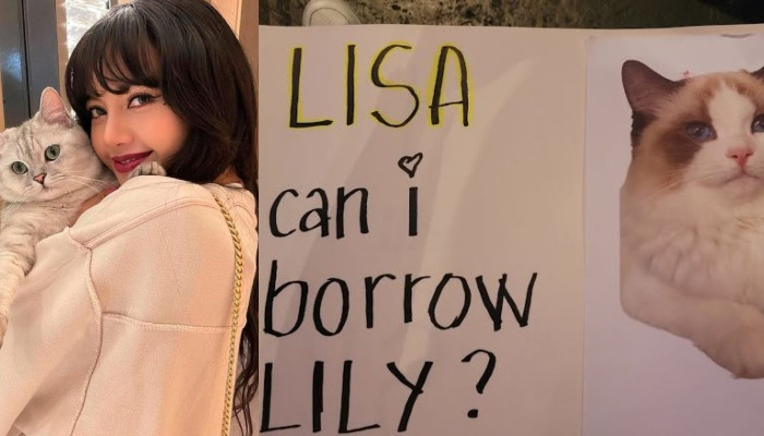 BLACKPINK Lisa humorously responds to a fan's request of borrowing her ...