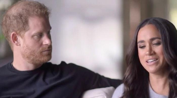 Meghan Markle wrote Prince Harry book, says 'text-messages' theory