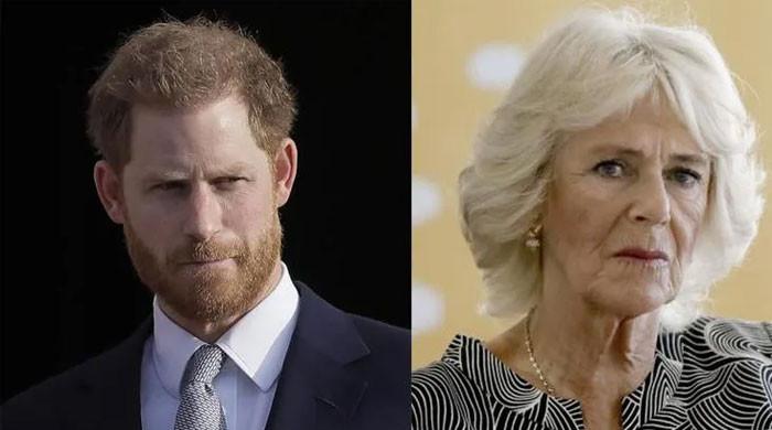 Queen Consort Camilla ‘uneasy’ appearance raises eyebrows after Prince ...