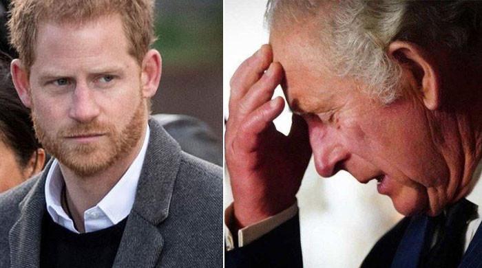Royal Family fears Meghan Markle will expose ‘laws of predatory ...