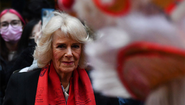 Camilla returns to royal duties after covid diagnosis