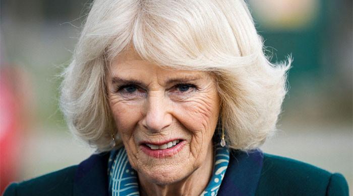 Camilla ‘made an excellent’ recovery from Covid