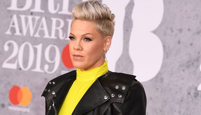 Pink says she is ‘saddened and disappointed’ by ‘headlines’ over ‘silly ...