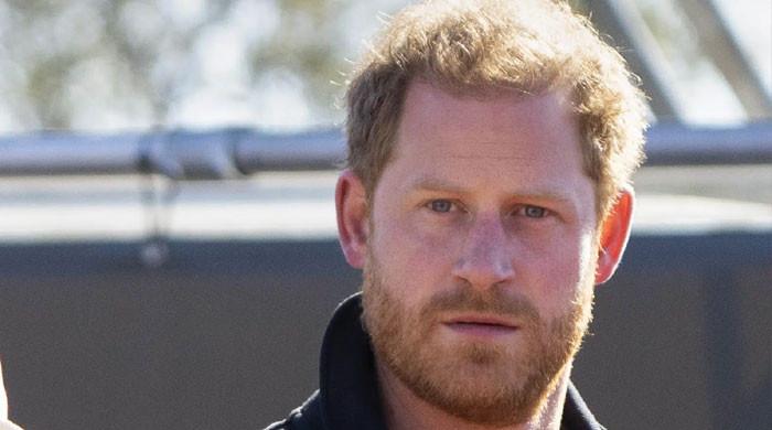 Prince Harry reeks of ‘self-deception and hypocrisy’