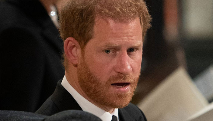 Prince Harry’s life experience ‘limited by wealth, fame, privilege’