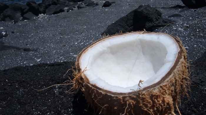 Man survives on 'coconuts only' for 28 years