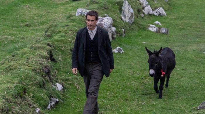 'The Banshees of Inisherin' animal trainer argues 'Oscars for donkeys'