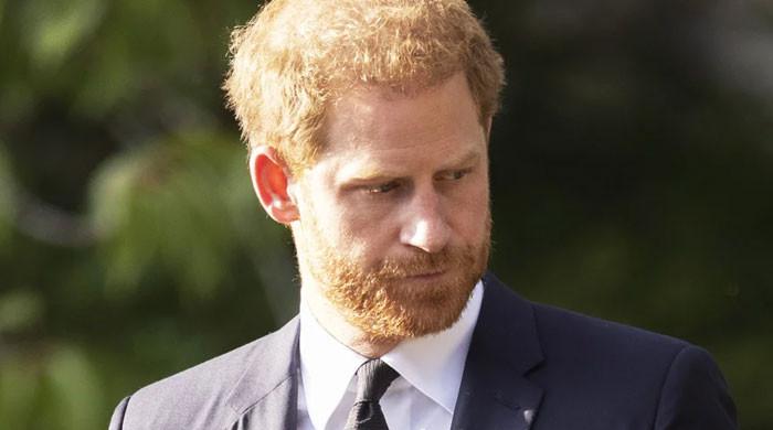 Prince Harry ‘pinched pennies’ after ‘shopping sprees, and glamorous ...