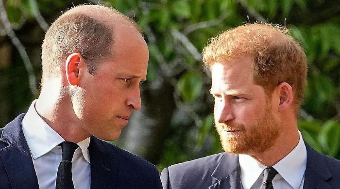 Prince Harry says 'therapy' made him 'unrelatable' to Prince William